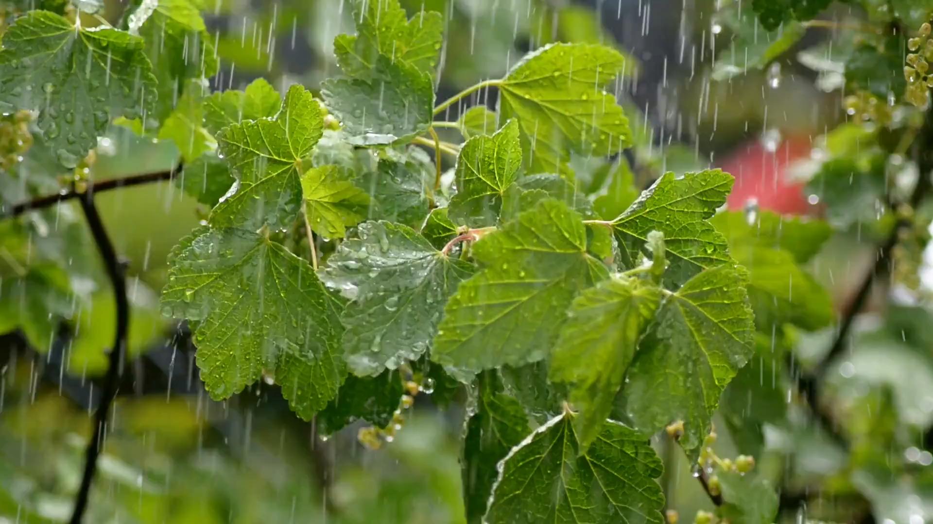 Five9s Solutions - ONE TEAM, Resilient for common goal